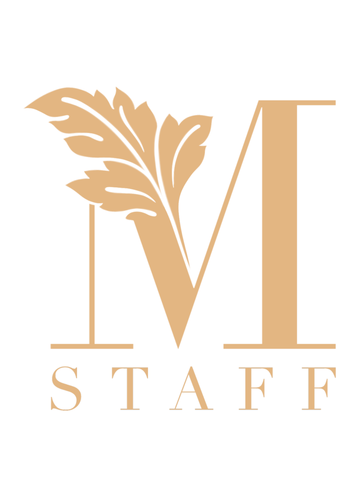 Présentation | Staffeur-Ornemaniste à Rouen – M-STAFF